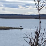 Padilla Bay Trail, Washington - 669 Reviews, Map | AllTrails