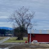 Padilla Bay Trail, Washington - 669 Reviews, Map | AllTrails