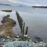 Padilla Bay Trail, Washington - 669 Reviews, Map | AllTrails