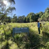 Hannels Spur Track, New South Wales, Australia - 43 Reviews, Map ...