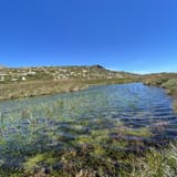 Hannels Spur Track, New South Wales, Australia - 43 Reviews, Map | AllTrails