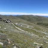 Hannels Spur Track, New South Wales, Australia - 43 Reviews, Map | AllTrails