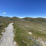 Hannels Spur Track, New South Wales, Australia - 43 Reviews, Map | AllTrails