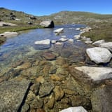 Hannels Spur Track, New South Wales, Australia - 43 Reviews, Map | AllTrails