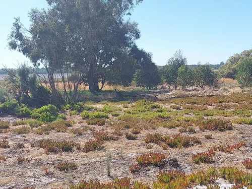 Best Hikes and Trails in Thomsons Lake Nature Reserve | AllTrails