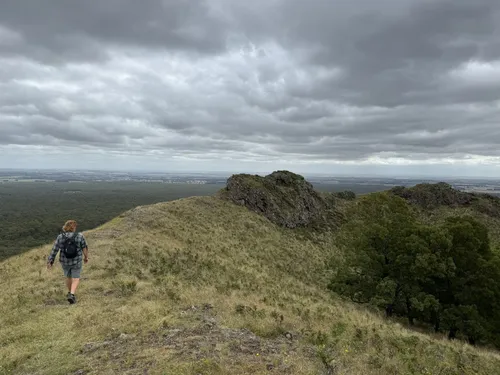 Best Hikes and Trails in Mount Napier State Park | AllTrails