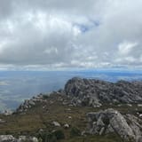 Mount Roland, Tasmania, Australia - 166 Reviews, Map | AllTrails