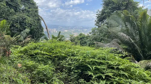 10 Best Trails and Hikes in Cheras | AllTrails