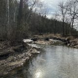 Laura Lake Trail Loop, Virginia - 517 Reviews, Map | AllTrails