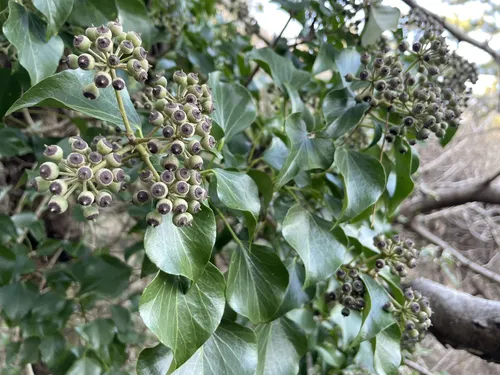 Best Walking Trails in Nam-gu | AllTrails