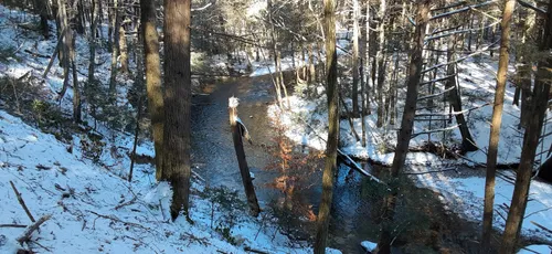 Best Hikes and Trails in Nathan B. and Anne Perry Talbot Wildlife Area ...