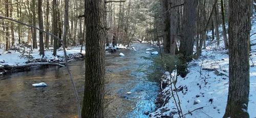 Best Hikes and Trails in Nathan B. and Anne Perry Talbot Wildlife Area ...