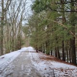 Mass Central Rail Trail to Rutland State Park, Massachusetts - 386 ...