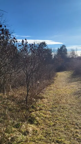 Best Hikes and Trails in Scenic Hudson’s Long View Park | AllTrails