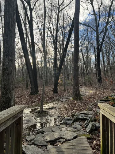 Best Hikes and Trails in Webb Mountain Discovery Zone | AllTrails