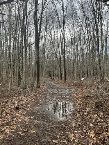 Best Hikes and Trails in Webb Mountain Discovery Zone | AllTrails