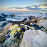 Napatree Point Conservation Area Trail, Rhode Island - 642 Reviews, Map ...