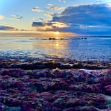 Napatree Point Conservation Area Trail, Rhode Island - 642 Reviews, Map ...