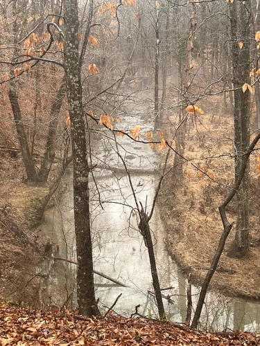 Best 10 Hiking Trails in Brumley Nature Preserve | AllTrails