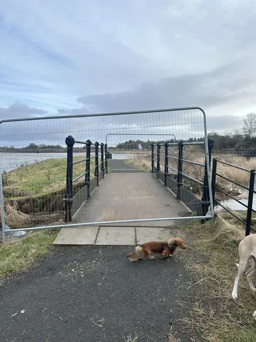 Best Hikes and Trails in Dams to Darnley Country Park | AllTrails
