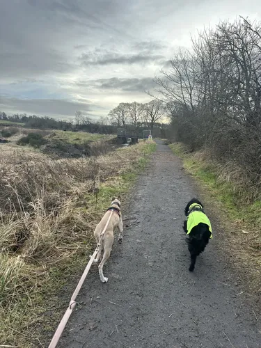 Best Hikes and Trails in Dams to Darnley Country Park | AllTrails