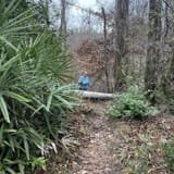 Torreya Trail, Florida - 438 Reviews, Map | AllTrails