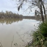 Torreya Trail, Florida - 394 Reviews, Map | AllTrails