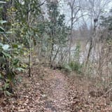 Torreya Trail, Florida - 400 Reviews, Map | AllTrails