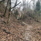 Torreya Trail, Florida - 438 Reviews, Map | AllTrails