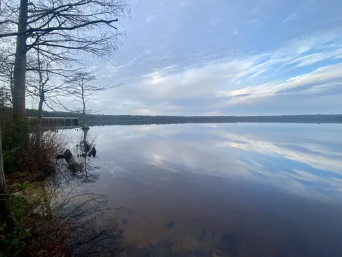 Best Hikes and Trails in Jones Lake State Park | AllTrails