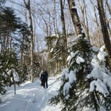 Arethusa Falls and Frankenstein Cliff Loop, New Hampshire - 1,956 ...