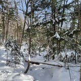 Arethusa Falls and Frankenstein Cliff Loop, New Hampshire - 1,956 ...