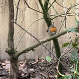 Pooley Bridge Circular, Cumbria, England - 201 Reviews, Map | AllTrails