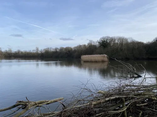 Best Trail Running Trails in Dinton Pastures County Park | AllTrails
