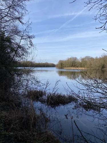 Best Trail Running Trails in Dinton Pastures County Park | AllTrails