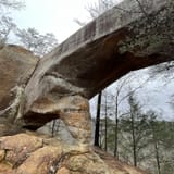 Sky Bridge Trail, Kentucky - 2,266 Reviews, Map | AllTrails