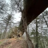 Sky Bridge Trail, Kentucky - 2,266 Reviews, Map | AllTrails