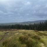 Beacon Fell Circular, Lancashire, England - 88 Reviews, Map | AllTrails