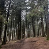 Beacon Fell Circular, Lancashire, England - 88 Reviews, Map | AllTrails