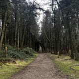 Beacon Fell Circular, Lancashire, England - 88 Reviews, Map | AllTrails