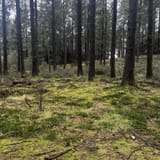 Beacon Fell Circular, Lancashire, England - 88 Reviews, Map | AllTrails