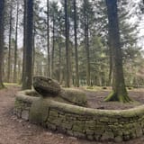 Beacon Fell Circular, Lancashire, England - 88 Reviews, Map | AllTrails