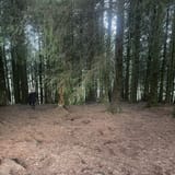 Beacon Fell Circular, Lancashire, England - 88 Reviews, Map | AllTrails