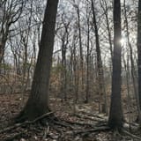 Morning Choice, Lewis and Clark, Ridge Trail, Hop Snake, and Rockburn ...