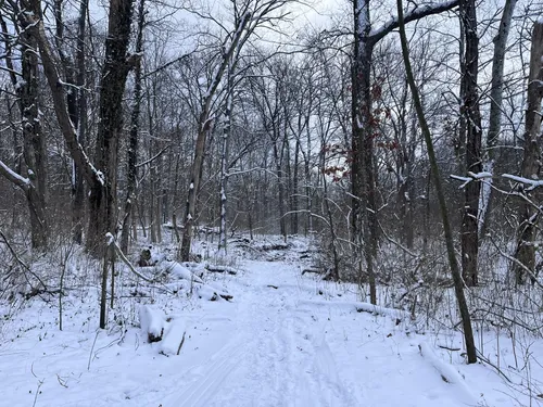 Best Hikes and Trails in French Park | AllTrails