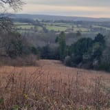 Gomshall Mill and Netley Park Circular, Surrey, England - 219 Reviews ...