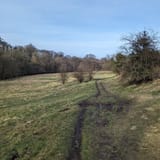 Yarrow Valley Country Park Circular, Lancashire, England - 280 Reviews ...