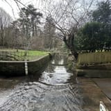 Chew Magna and Sacred Heart Circular, Somerset, England - 127 Reviews ...
