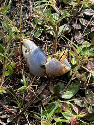 Best Hikes and Trails in Wildcat Cove Preserve | AllTrails