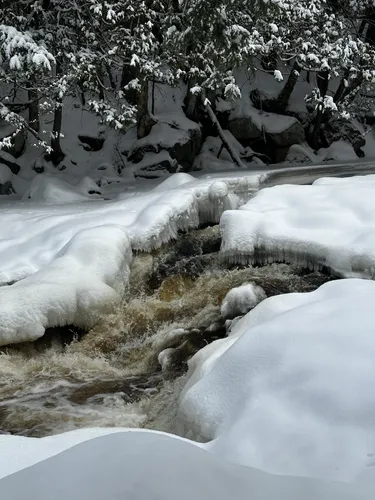 Best Hikes and Trails in Big Pokiok Nature Park | AllTrails